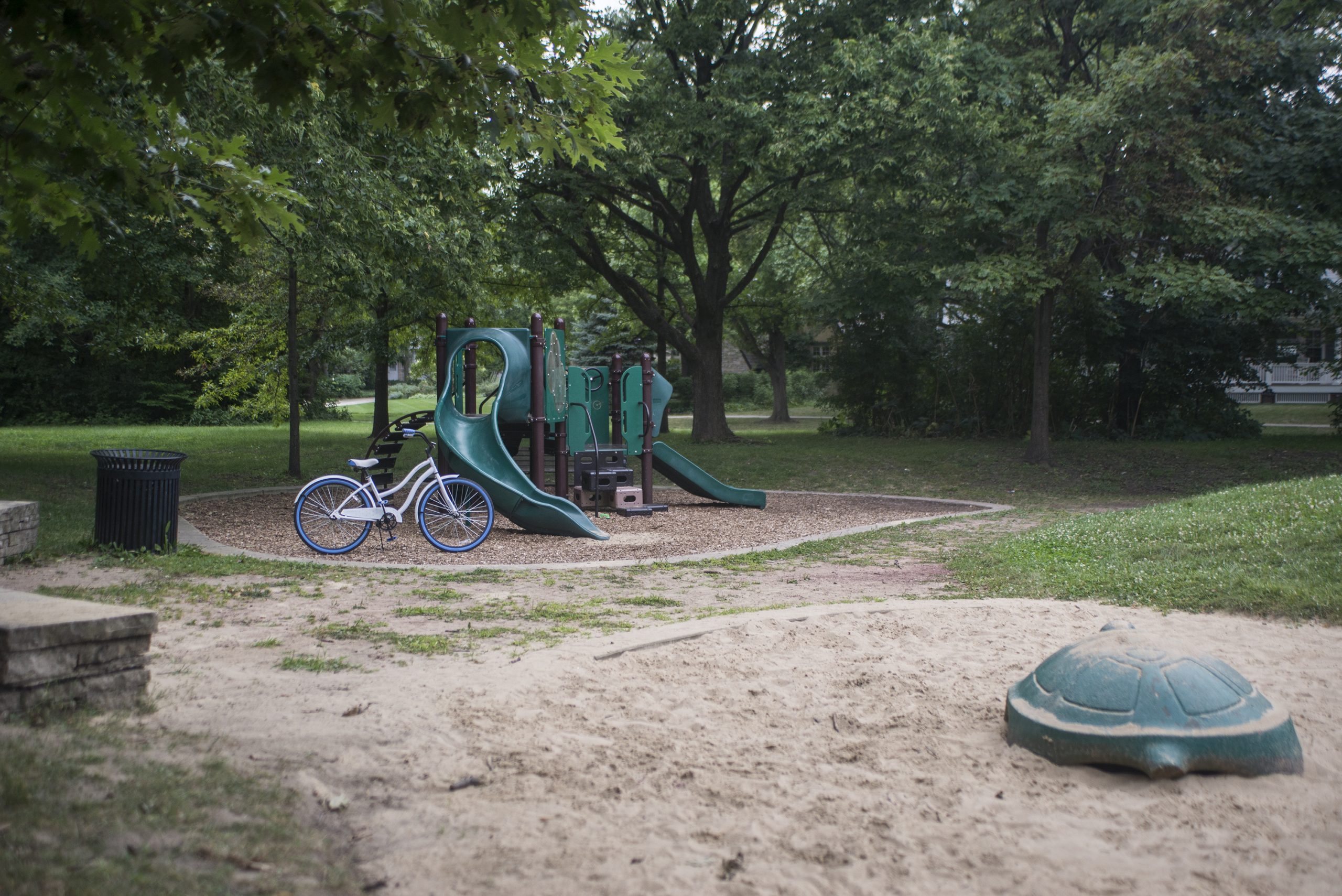 Minor found dead in Riverside’s Turtle Park - Riverside-Brookfield Landmark