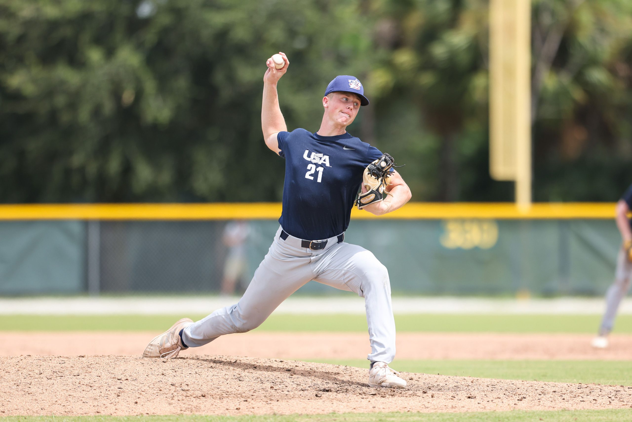 Murphy adds perfect game to sparkling season - Riverside-Brookfield ...