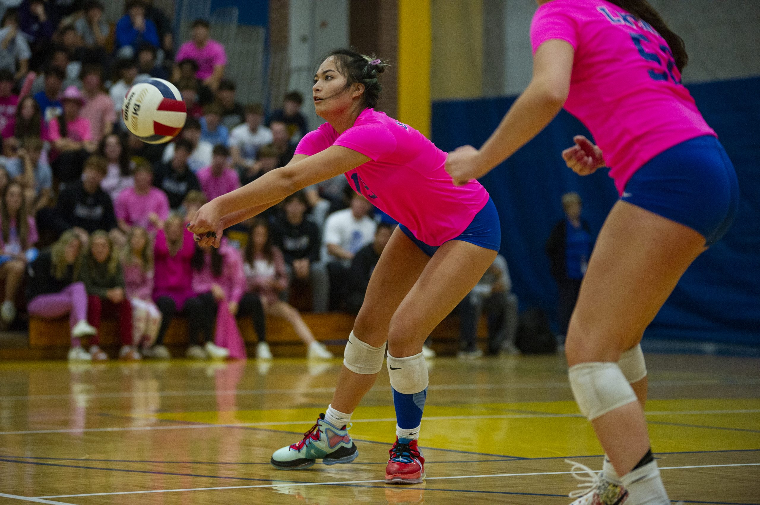 Sports roundup: Lions volleyball holds off York to remain atop WSC ...