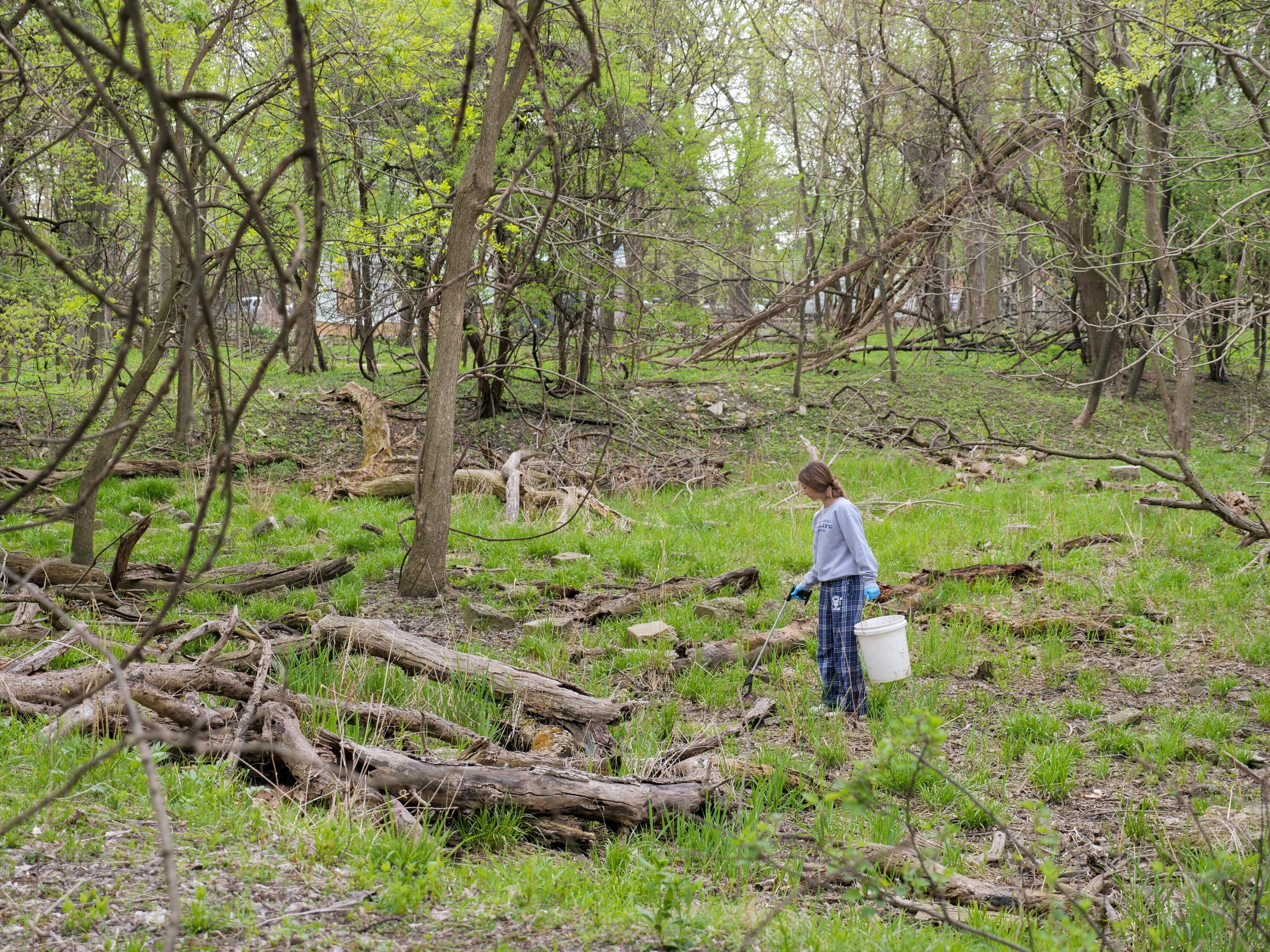 Photos: Going all out for Arbor Day - Riverside-Brookfield Landmark