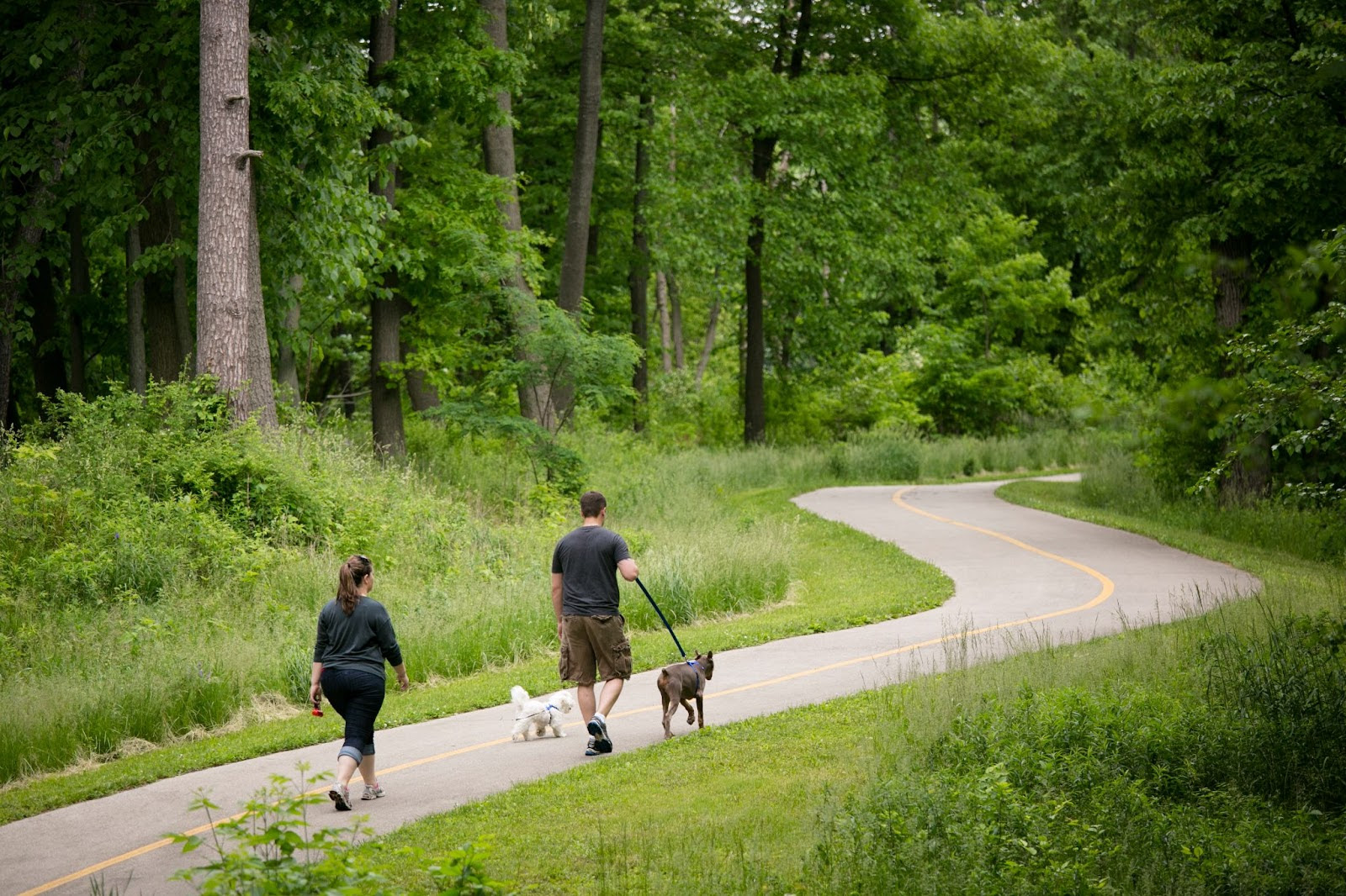 The Salt Creek Trail System - Riverside-Brookfield Landmark
