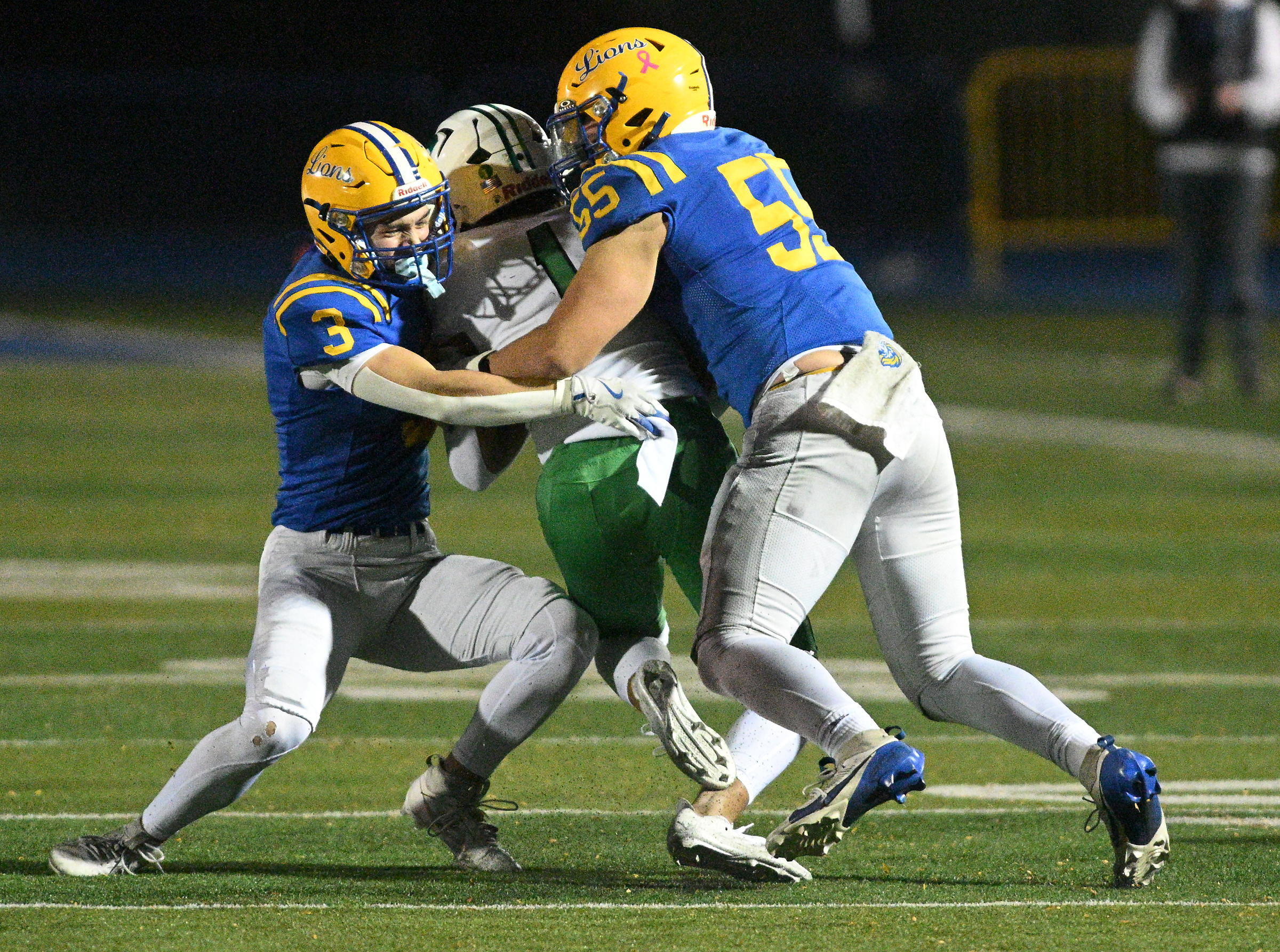 Newcomer Avants quite a kick in Lions’ playoff football victory ...